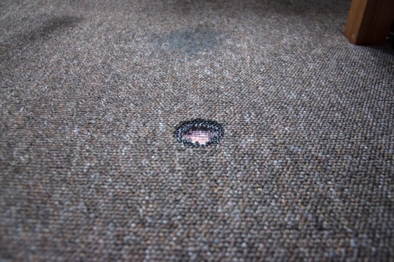 Tips How to Fix a Burned Carpet | Better Maid
